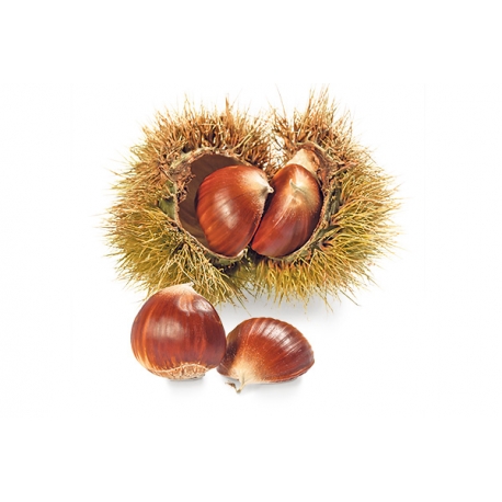 Maroni, Marroni, Kastanien